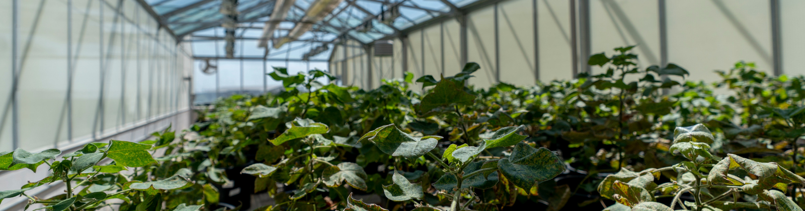 Mission - Science Influencers